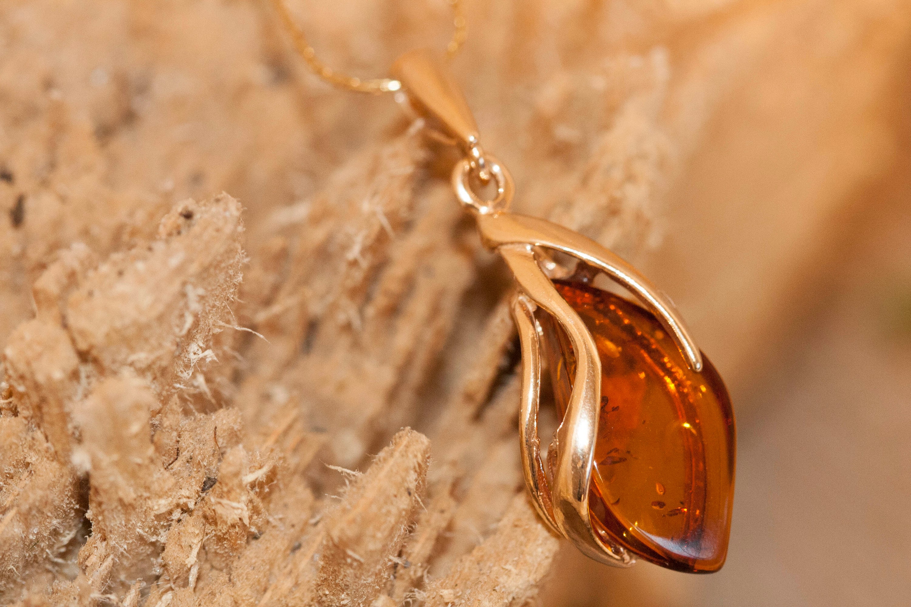 Amber & Gold. Baltic amber pendant, gold necklace. Perfect gift for her ...