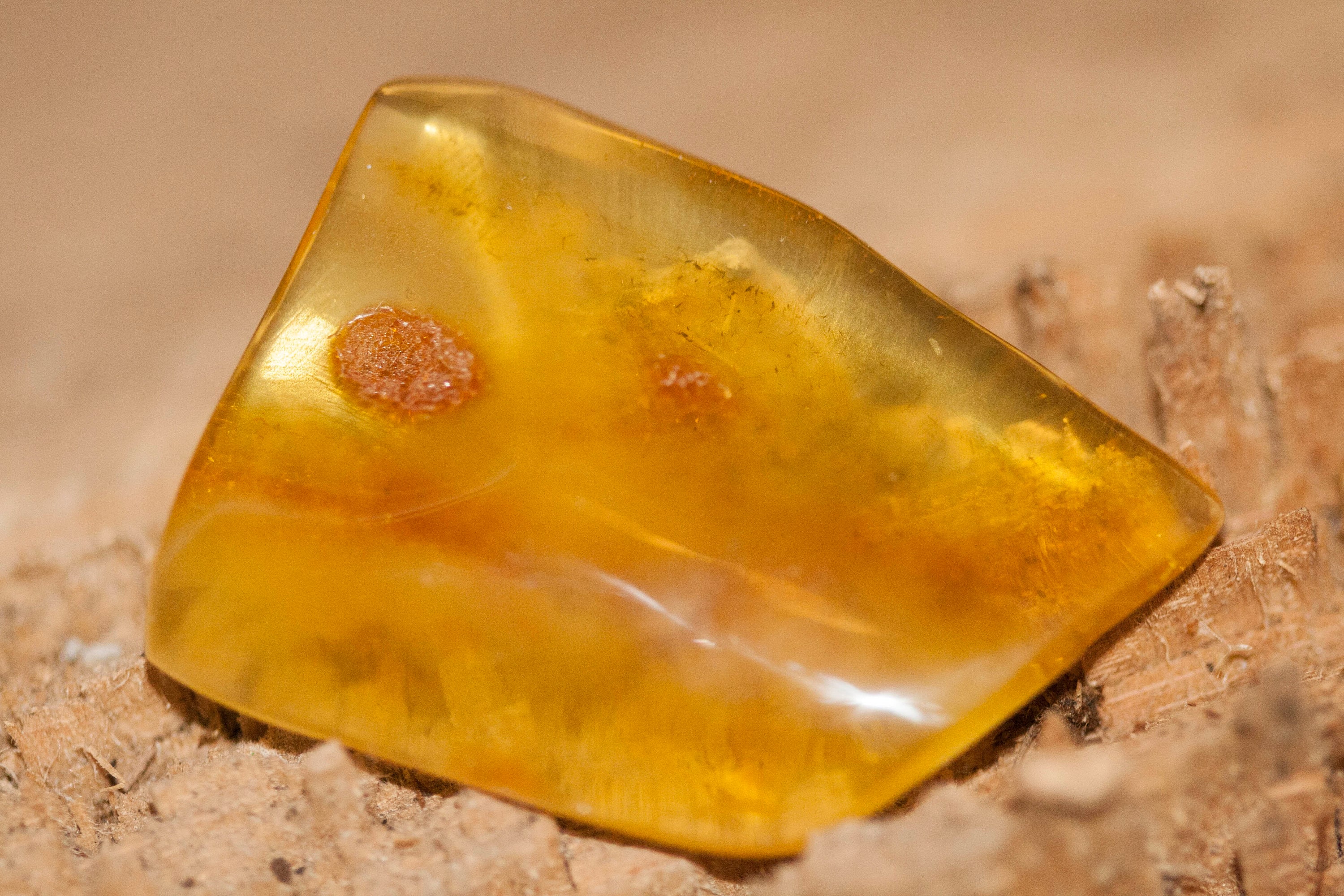 Natural baltic amber, loose amber, big amber piece, amber nugget ...