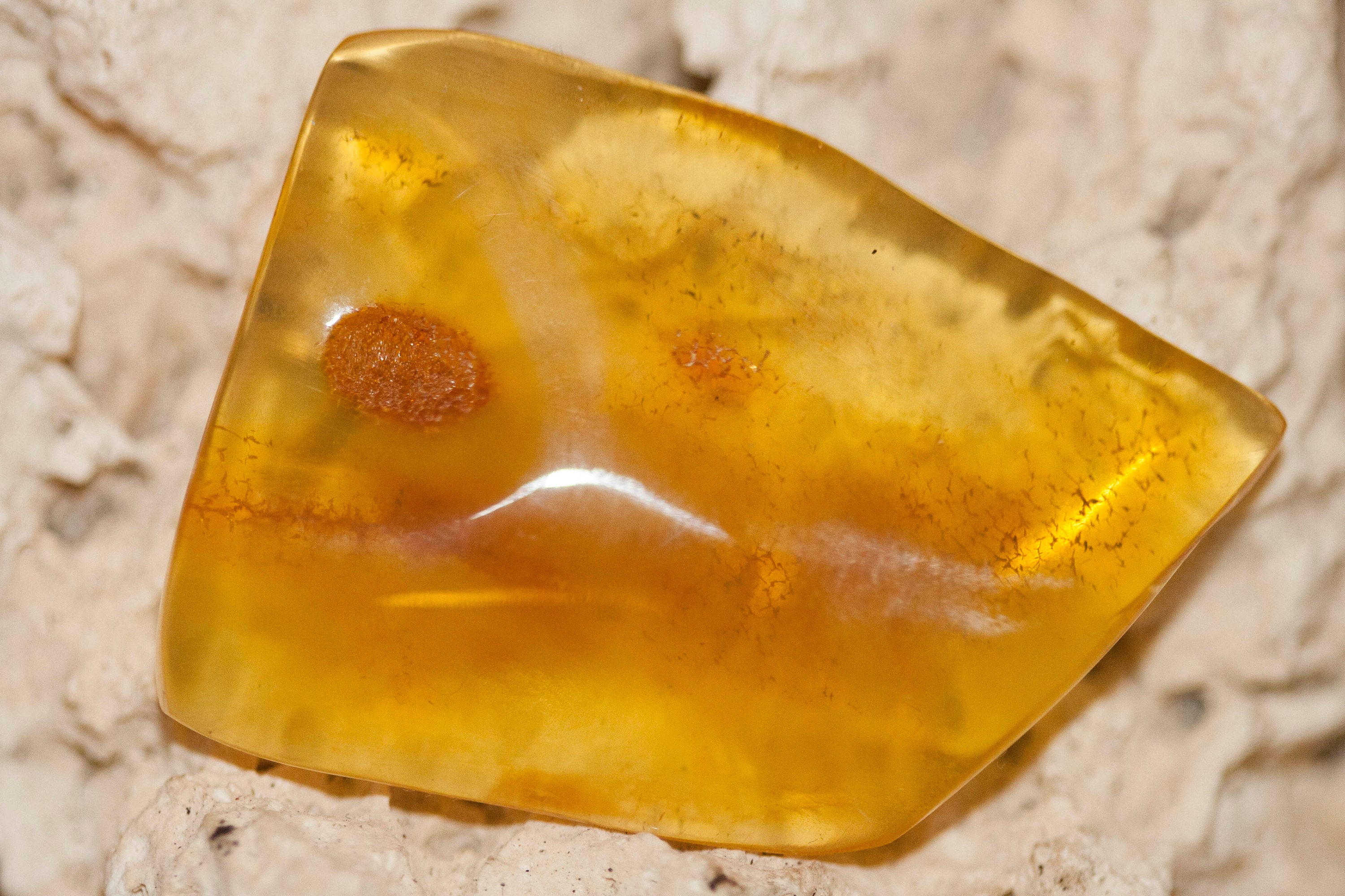 Natural baltic amber, loose amber, big amber piece, amber nugget ...