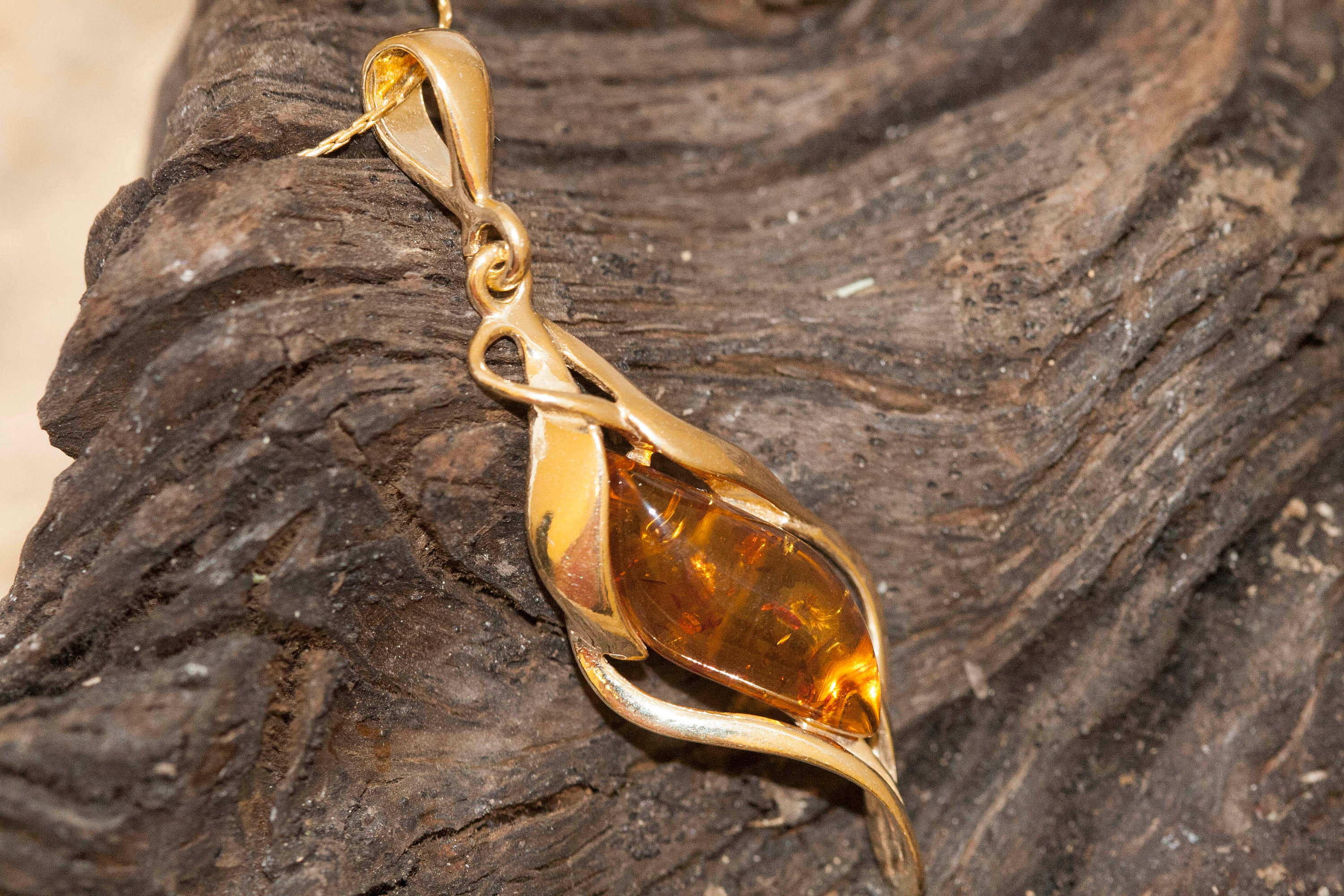 Amber & Gold. Baltic amber pendant, gold necklace. Perfect gift for her ...