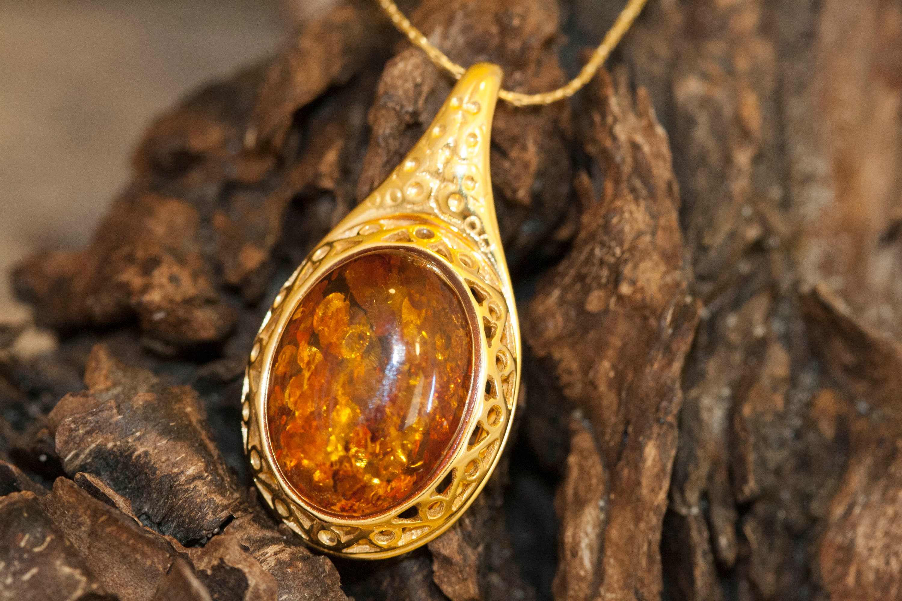 Amber & Gold. Baltic amber pendant, gold necklace. Perfect gift for her ...