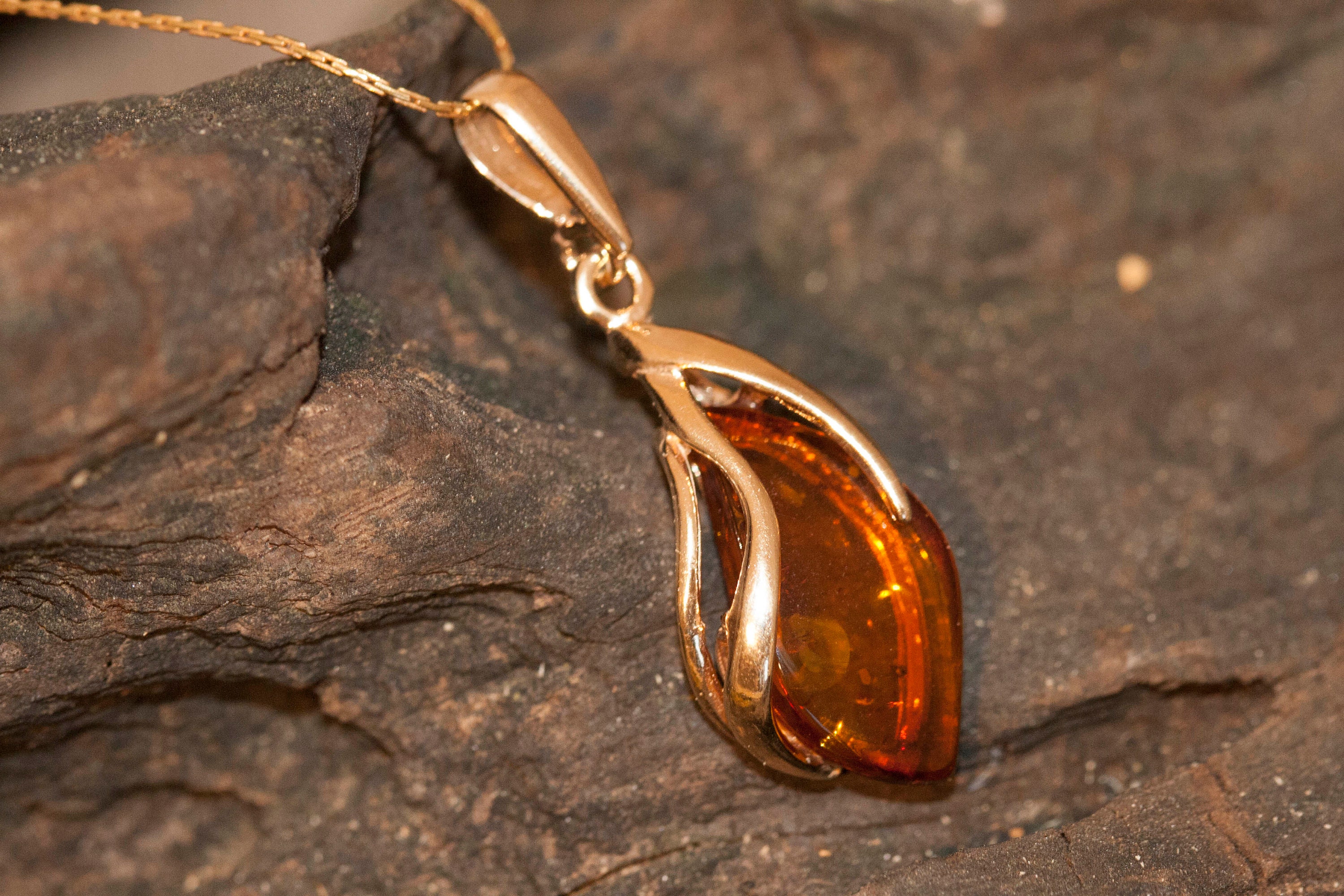 Amber & Gold. Baltic amber pendant, gold necklace. Perfect gift for her ...