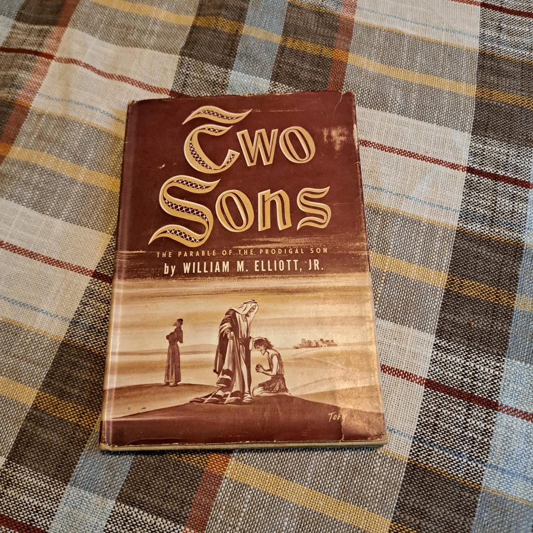Two Sons the Parable of the Prodigal Don Hardback, 1955 Edition - Etsy