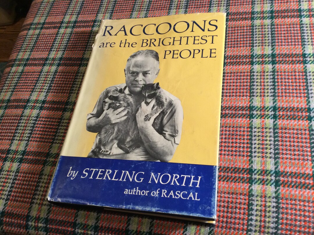 Raccoons Are the Brightest People Hardback, 1966 1st Edition - Etsy