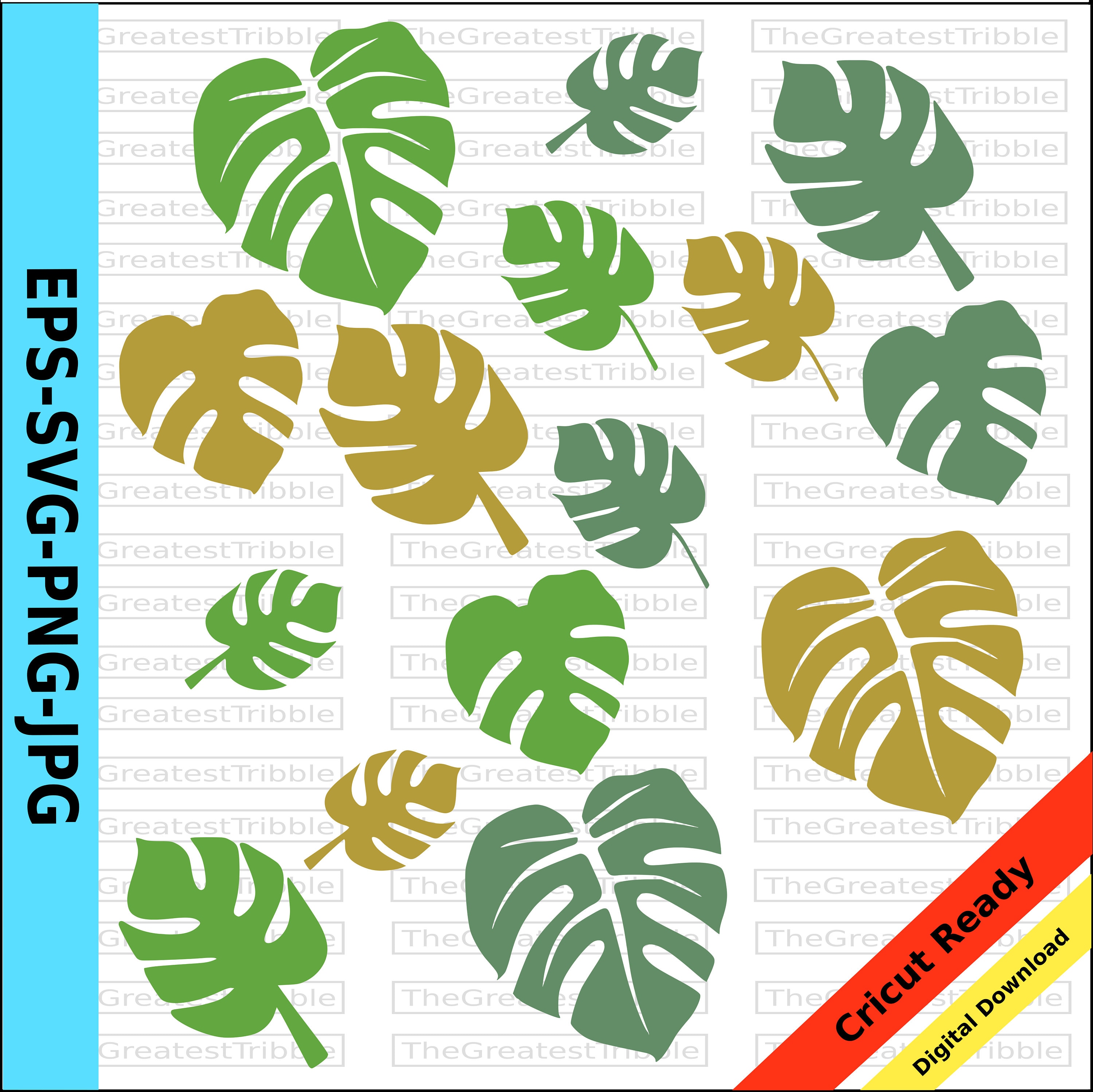 Monstera Leaves Clip Art Eps Svg Png Jpg Leaves Monstera Leaf - Etsy ...