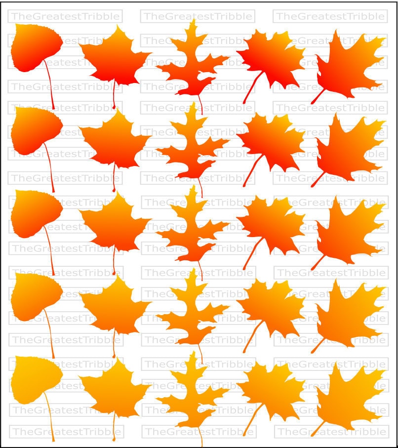 Fall Leaves Vector SVG Autumn Leaves Clip Art Color Outline | Etsy