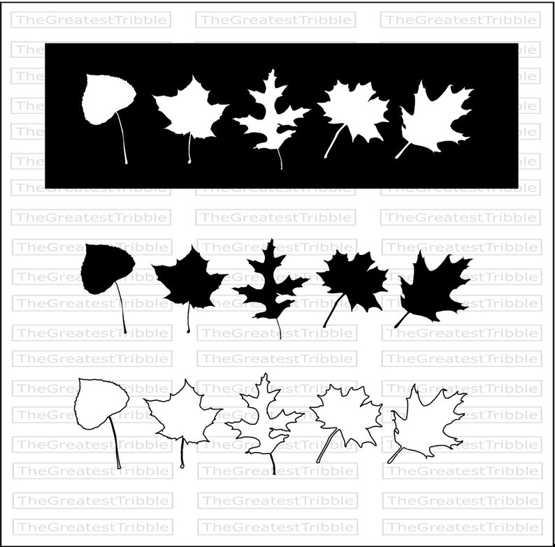 Fall Leaves Vector SVG Autumn Leaves Clip Art Color Outline - Etsy