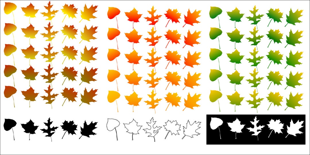 Fall Leaves Vector SVG Autumn Leaves Clip Art Color, Outline ...
