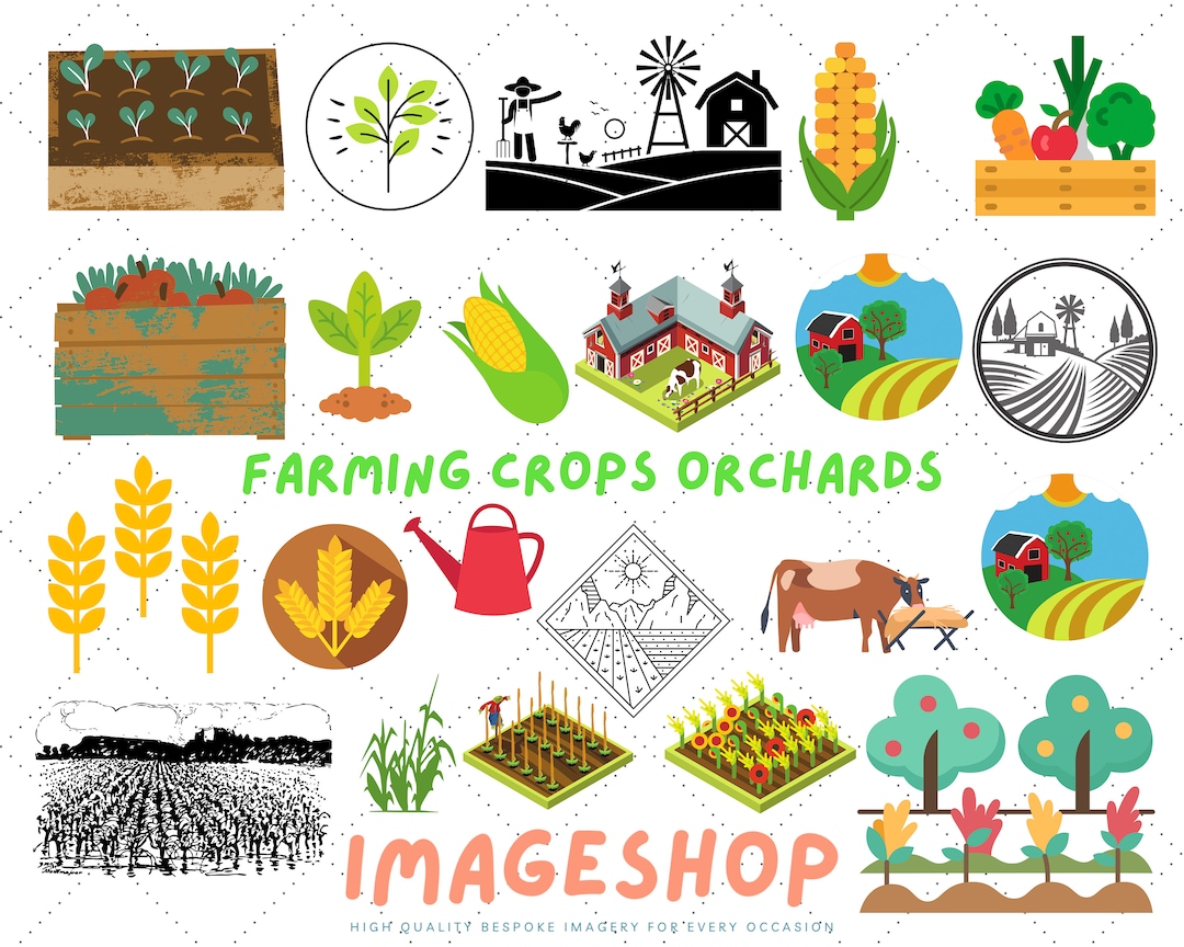 Farming Crops & Orchards Clip Art: Printable Images (digital Download ...