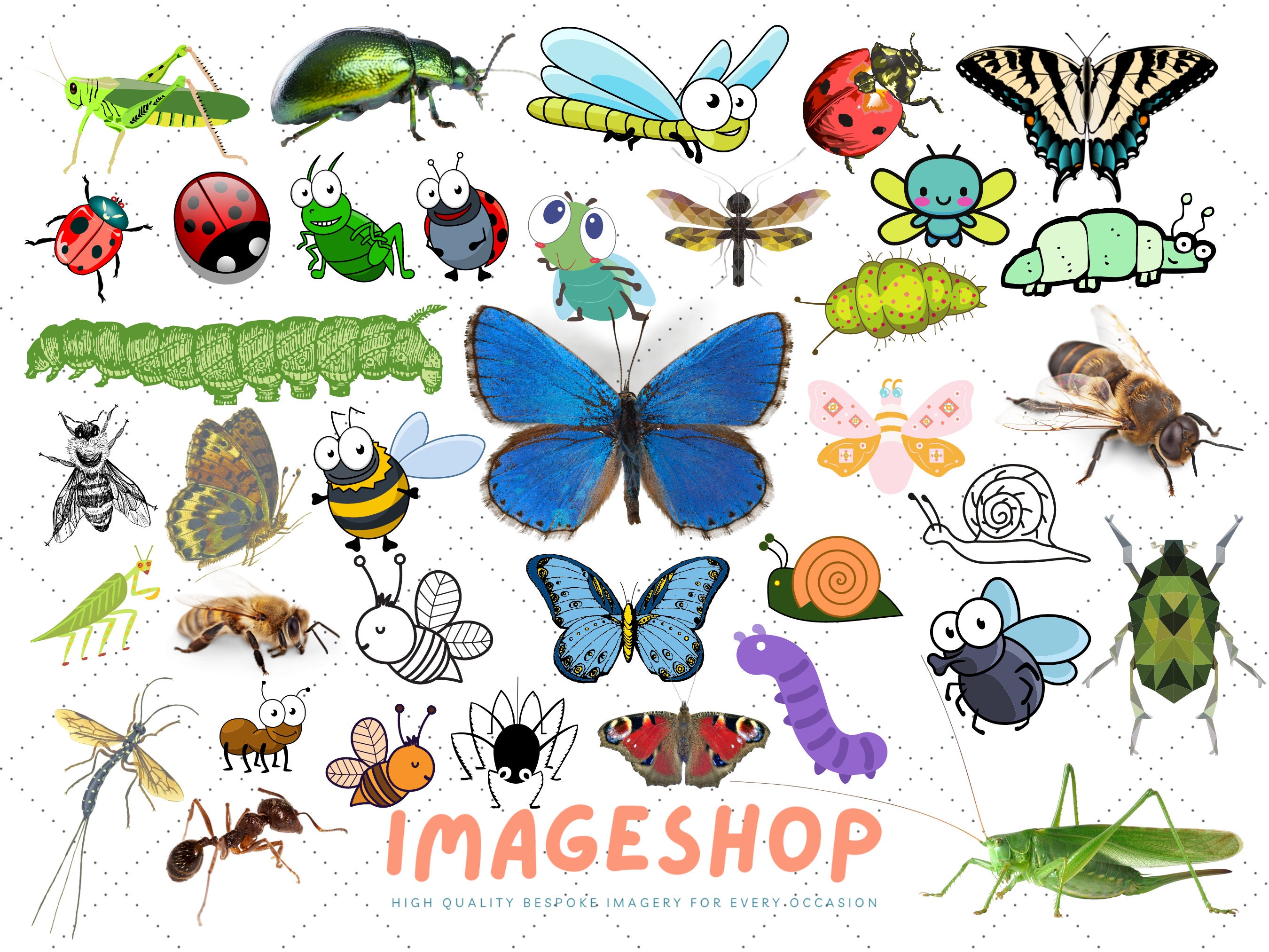 Insects Clip Art, Downloadable Digital Images, Butterflies Printable ...