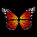 Butterfly Clip Art, Downloadable Digital Images, Butterflies Printable ...