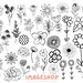 38 Hand Drawn Svg, Line Drawings SVG / PNG / PDF / Clipart ...