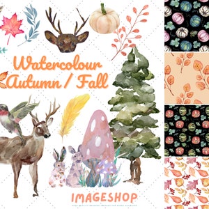 Autumn Png Fall Png Watercolour Clipart Png/watercolour Autumn ...