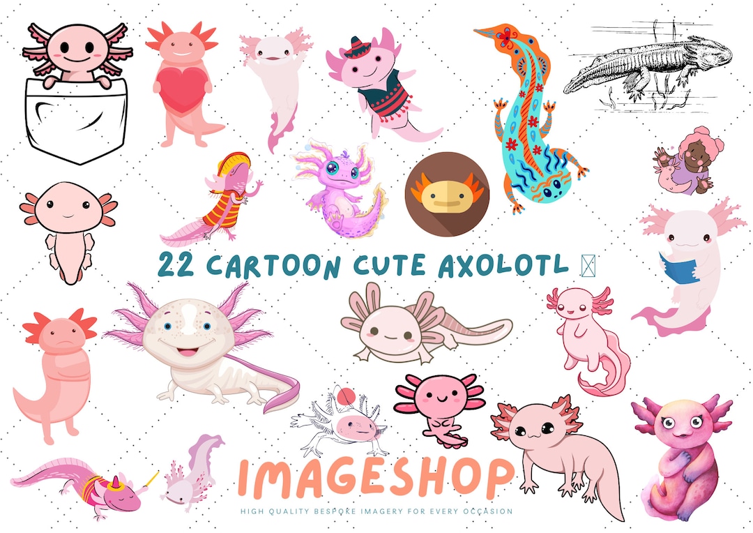 22 Axolotl Clip Art, Digital Download, Printable Images, PNG, Images ...