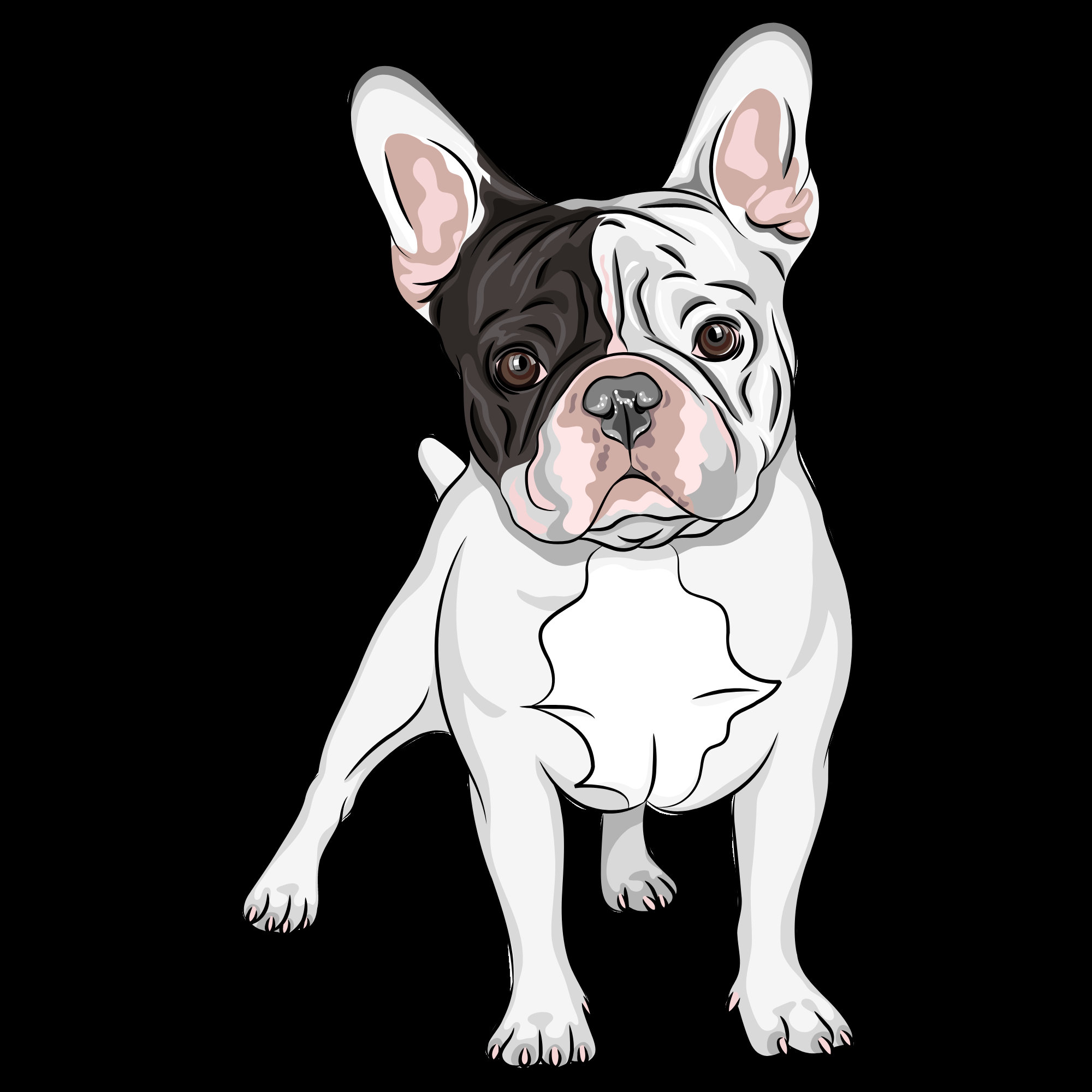 32 French Bulldog Clip Art Downloadable Digital Images - Etsy
