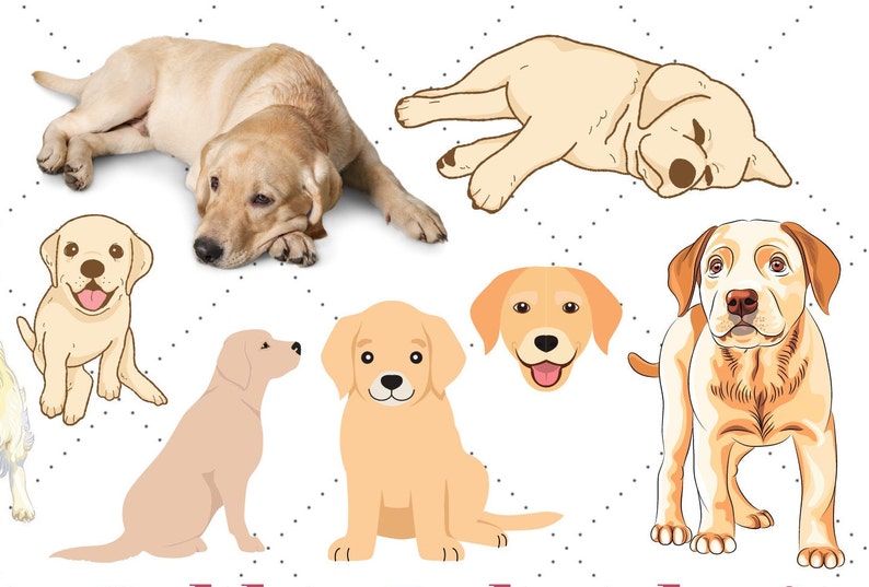 Golden Labradors Golden Labs Clip Art, Downloadable Digital Images ...