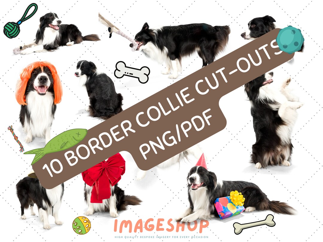 Border Collie Cut-outs Clip Art, Border Collie Png Downloadable Digital ...