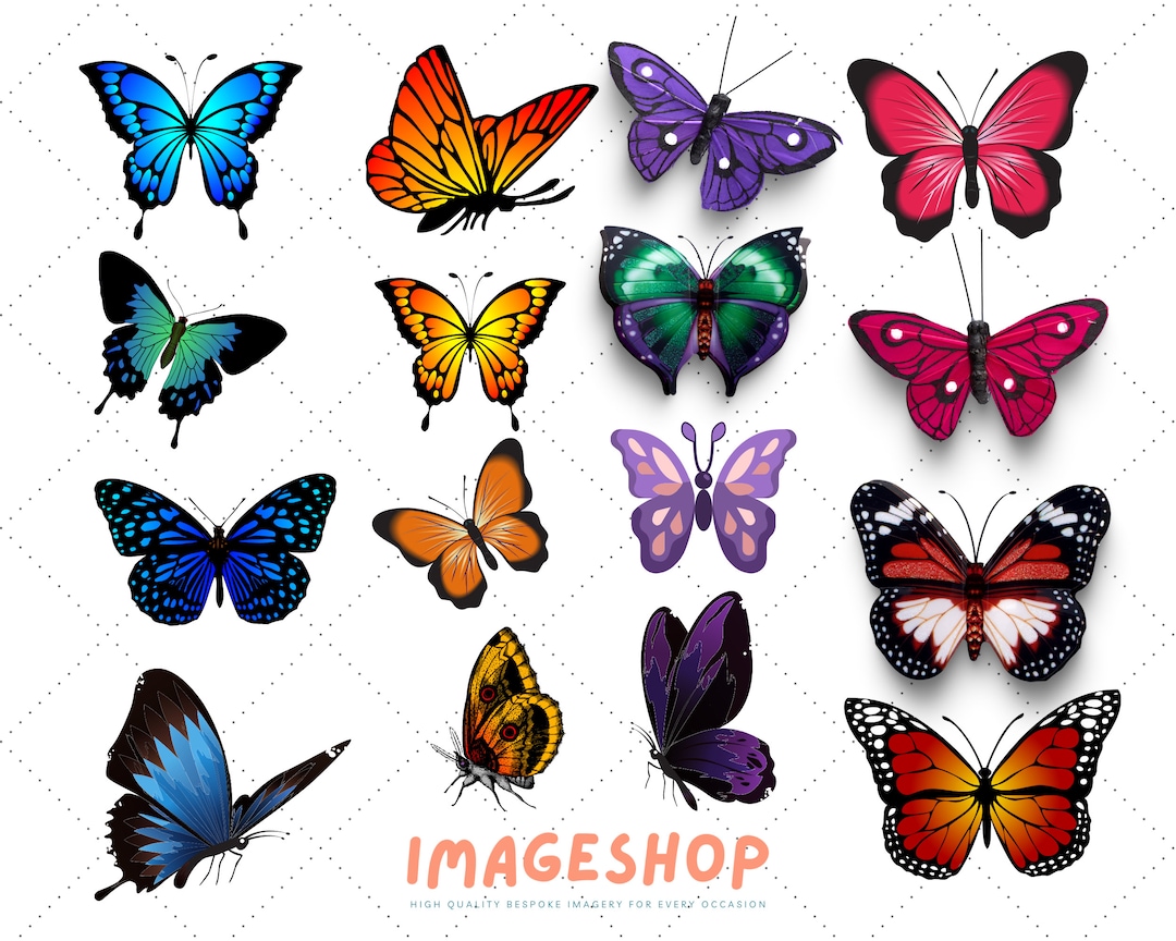 Butterfly Clip Art, Downloadable Digital Images, Butterflies Printable ...