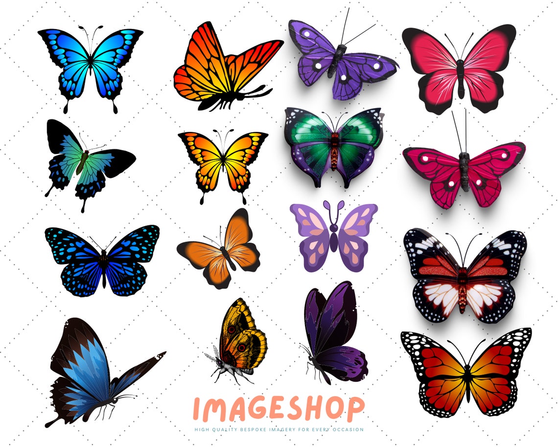 Butterfly Clip Art Downloadable Digital Images Butterflies | Etsy