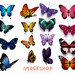 Butterfly Clip Art, Downloadable Digital Images, Butterflies Printable ...