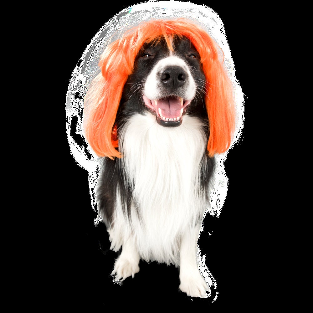 Border Collie Cut-outs Clip Art, Border Collie Png Downloadable Digital ...