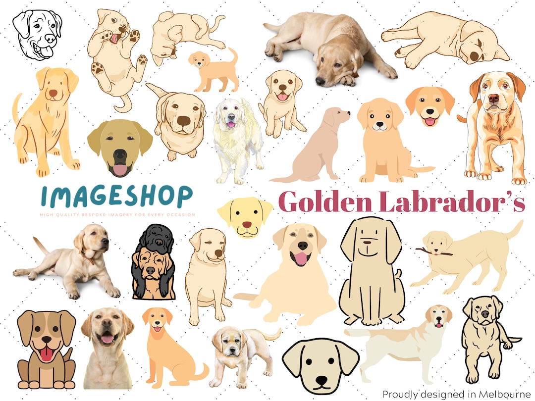 Golden Labradors Golden Labs Clip Art, Downloadable Digital Images ...