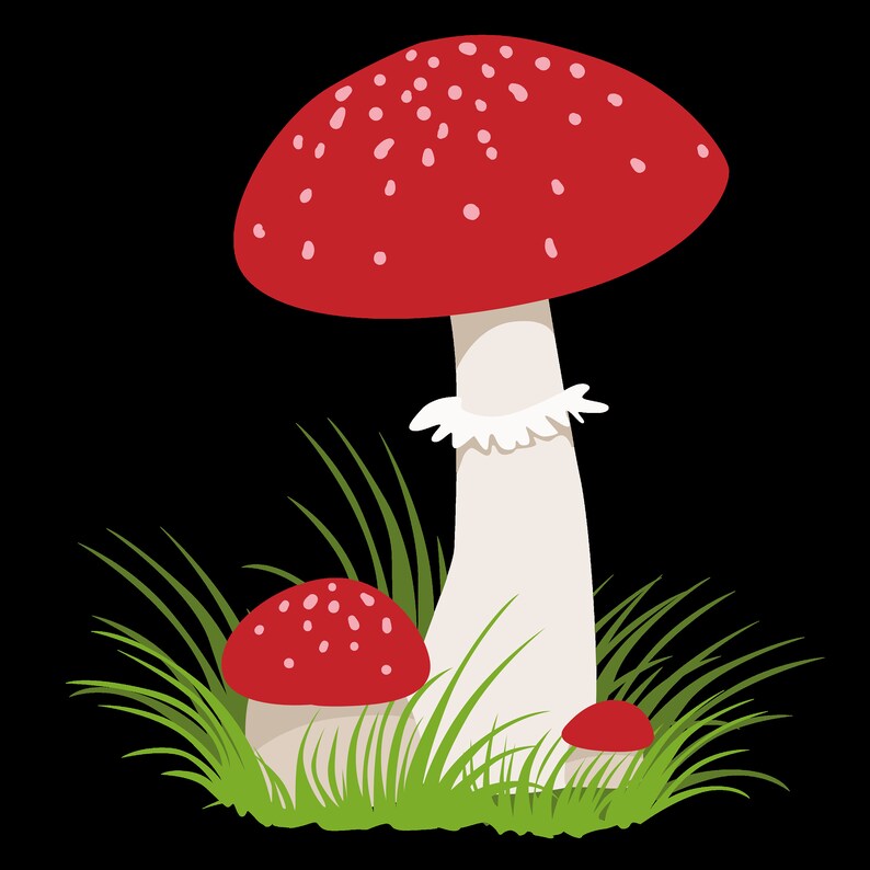 Mushrooms Clip Art Downloadable Digital Images Printable - Etsy