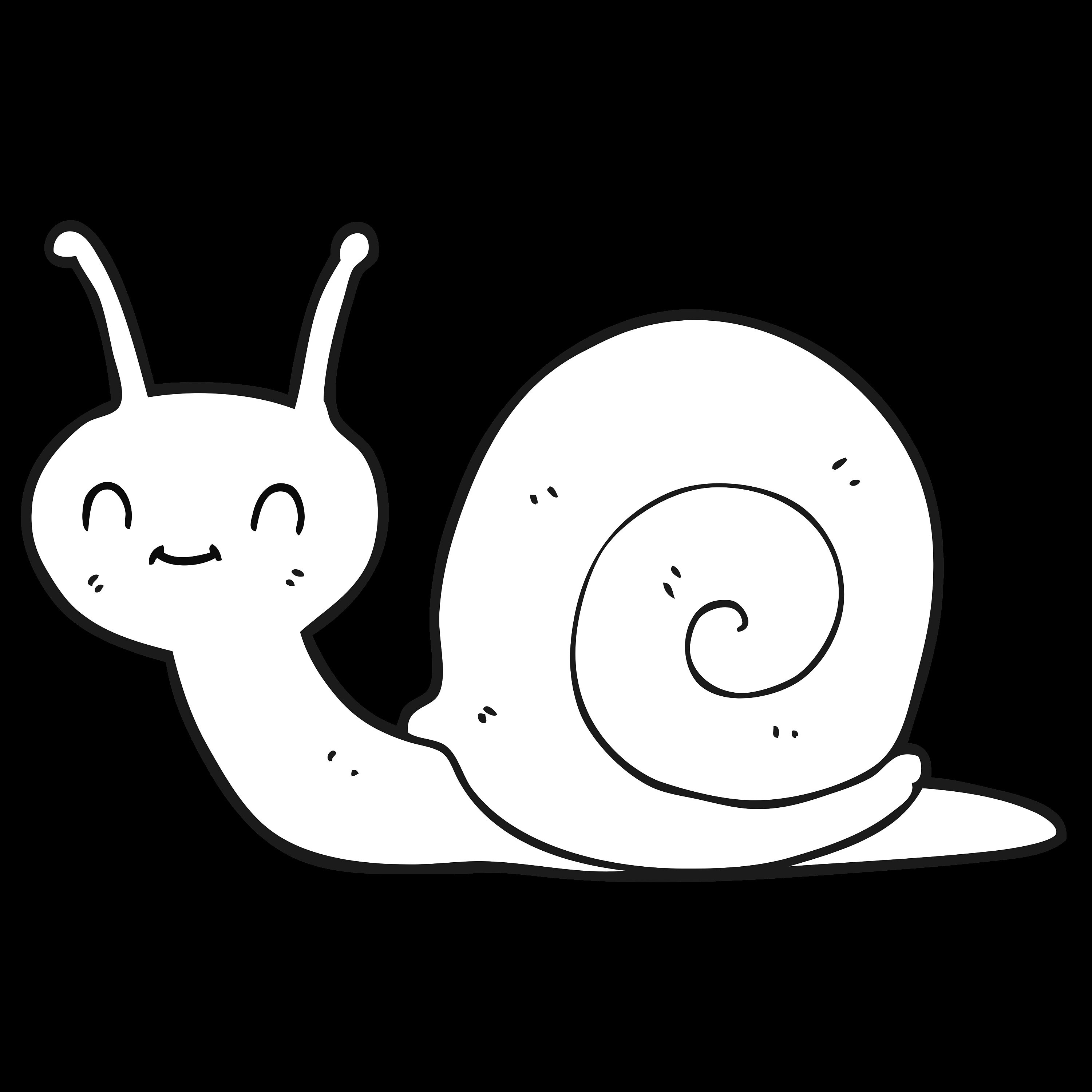 Snail Black and White Clip Art Downloadable Digital Images - Etsy