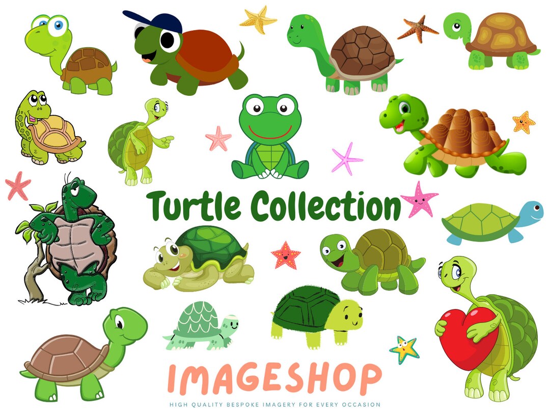 Turtle Clipart, Cute Cartoon Graphics, Scrapbook Images (digital ...
