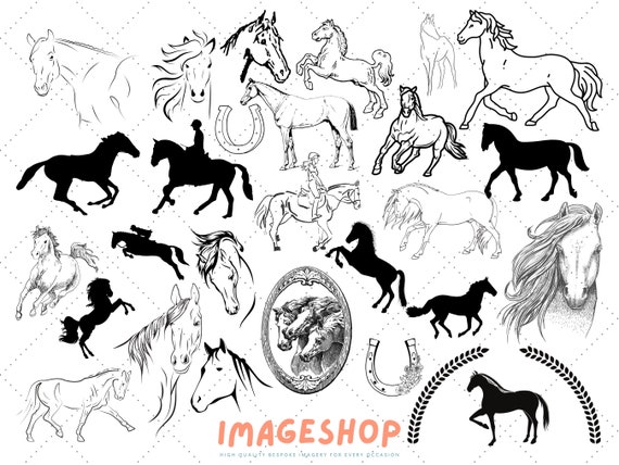 Horse Silhouette Outline Svg Horse Black Line Png Clipart PDF - Etsy ...