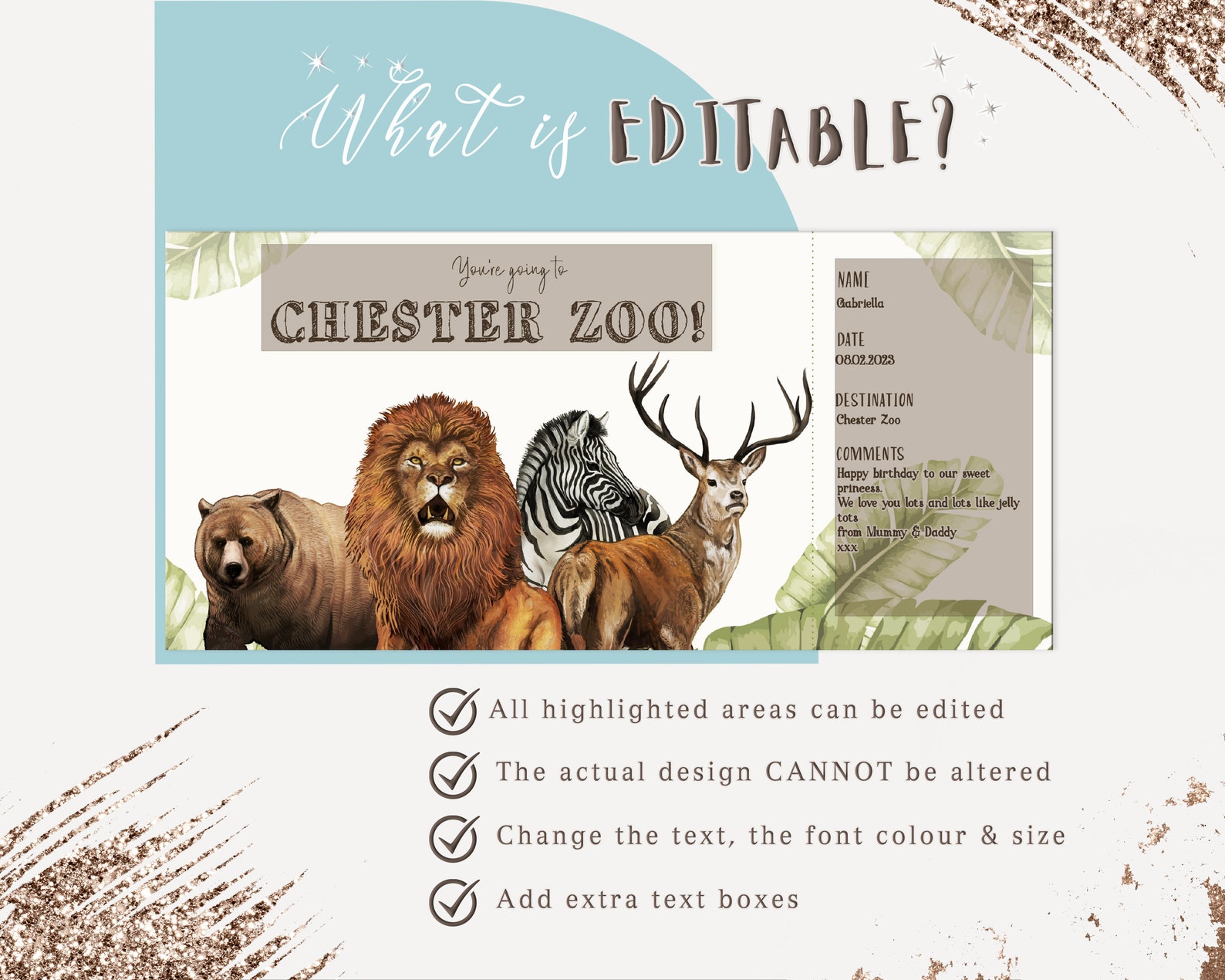 Printable Zoo Ticket, Safari Trip, Surprise Gift, Boarding Ticket ...