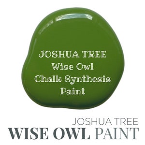 JOSHUA TREE Wise Owl Chalk Synthesis Paint Green - Etsy