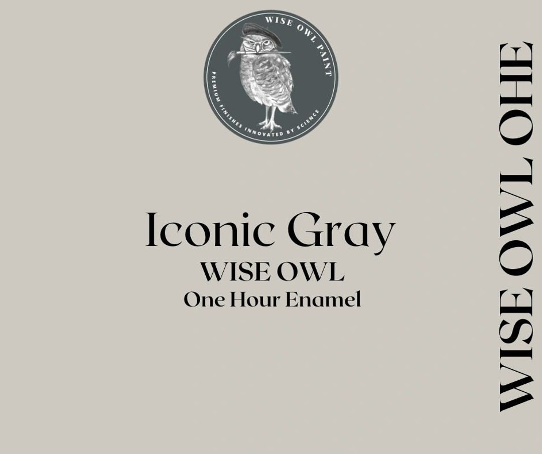 Iconic Gray Wise Owl One Hour Enamel OHE - Etsy