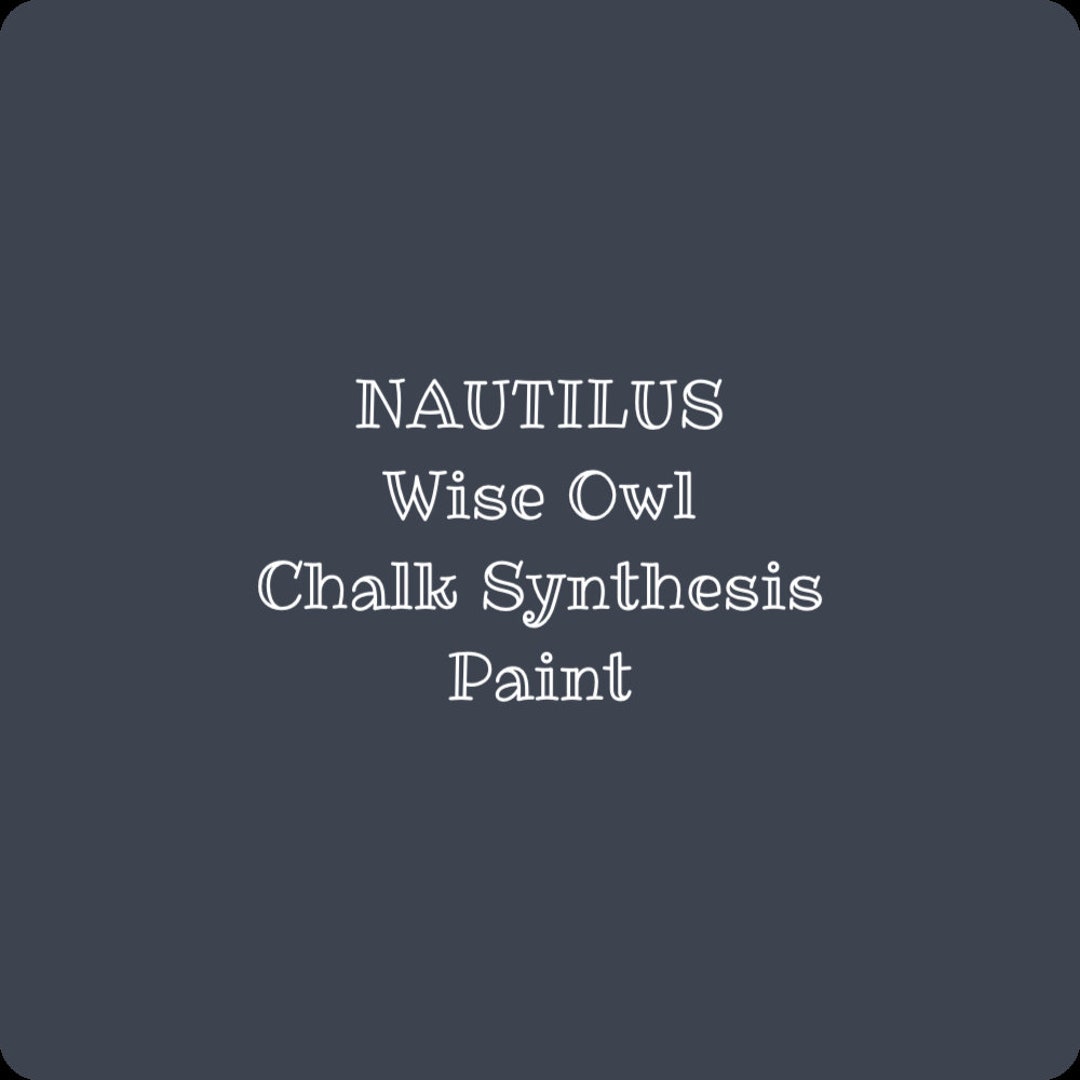 NAUTILUS Wise Owl Chalk Synthesis Paint Blue Gray - Etsy
