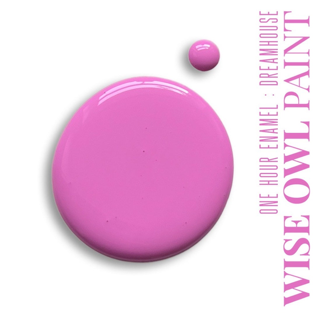 DREAMHOUSE Limited Edition Wise Owl One Hour Enamel OHE Barbie Hot Pink ...