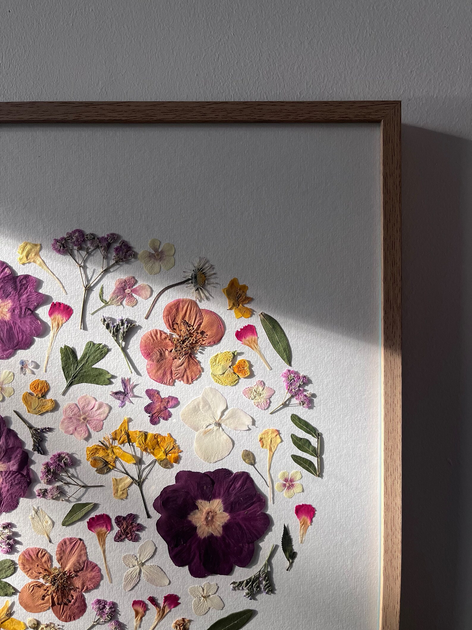 Pressed Flower Art, Oak Frame. - Etsy