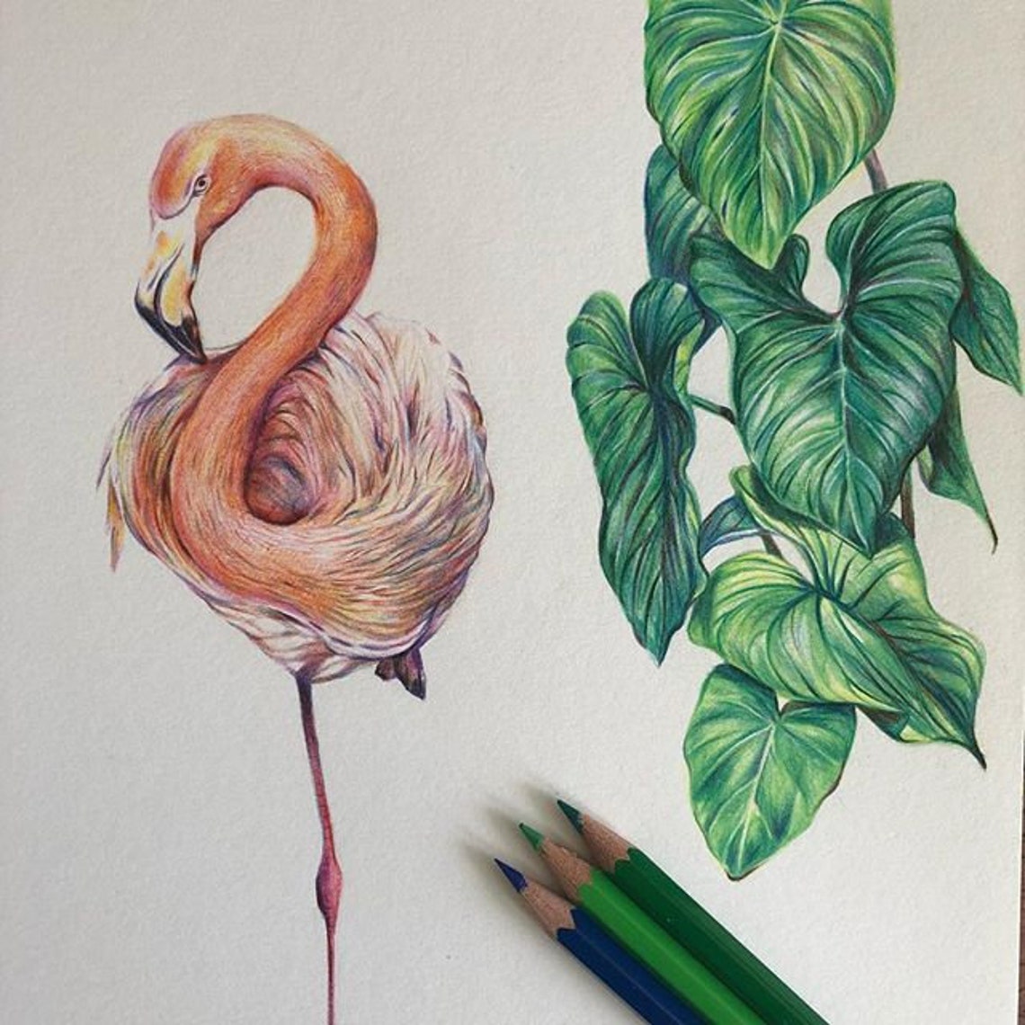 Hand Drawn Illustration of a Flamingo - A4 Print - Etsy