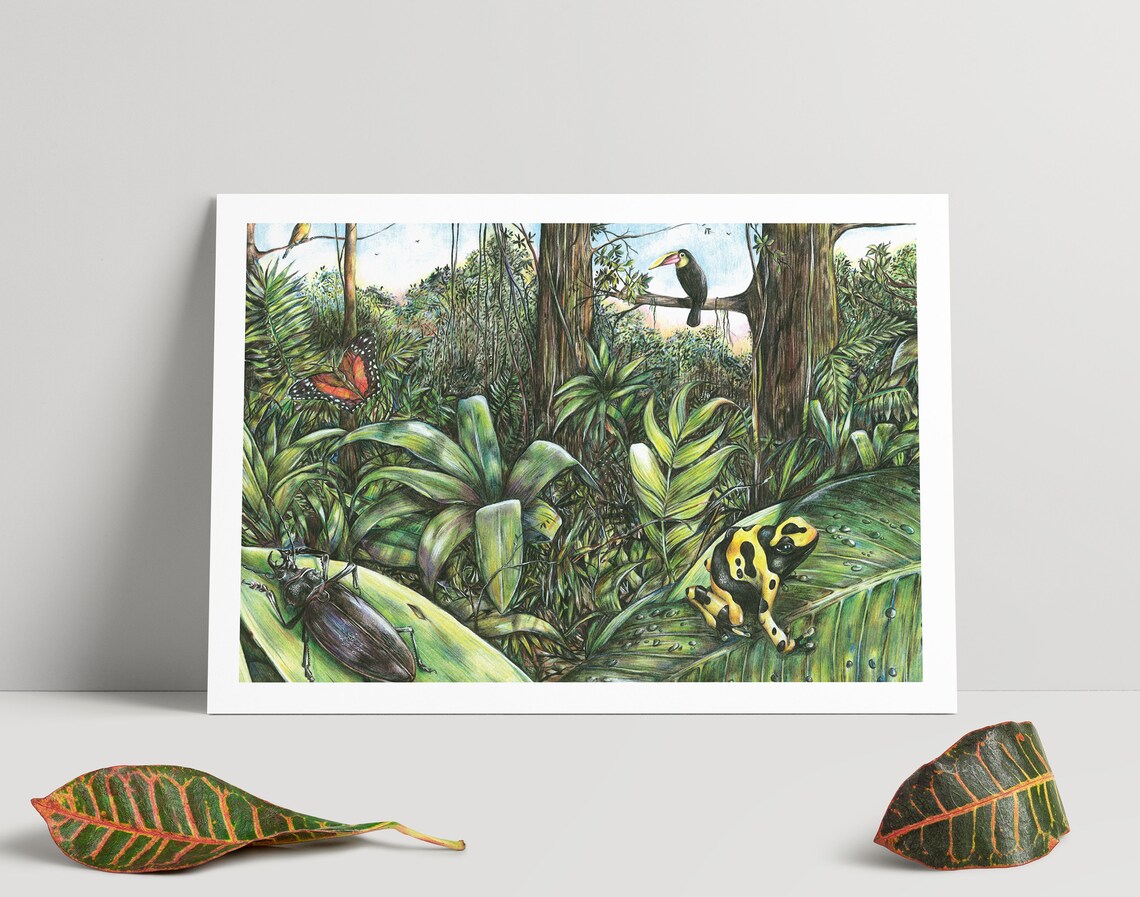 Hand Drawn Illustration of Rainforest Scene - Print - Etsy
