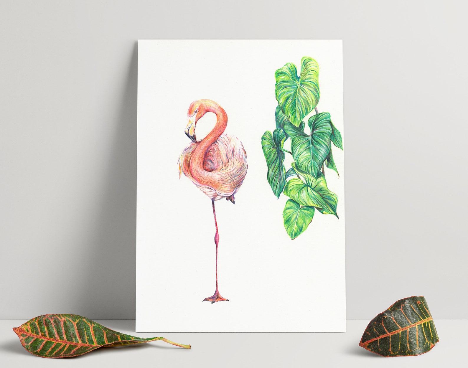 Hand Drawn Illustration of a Flamingo - A4 Print - Etsy