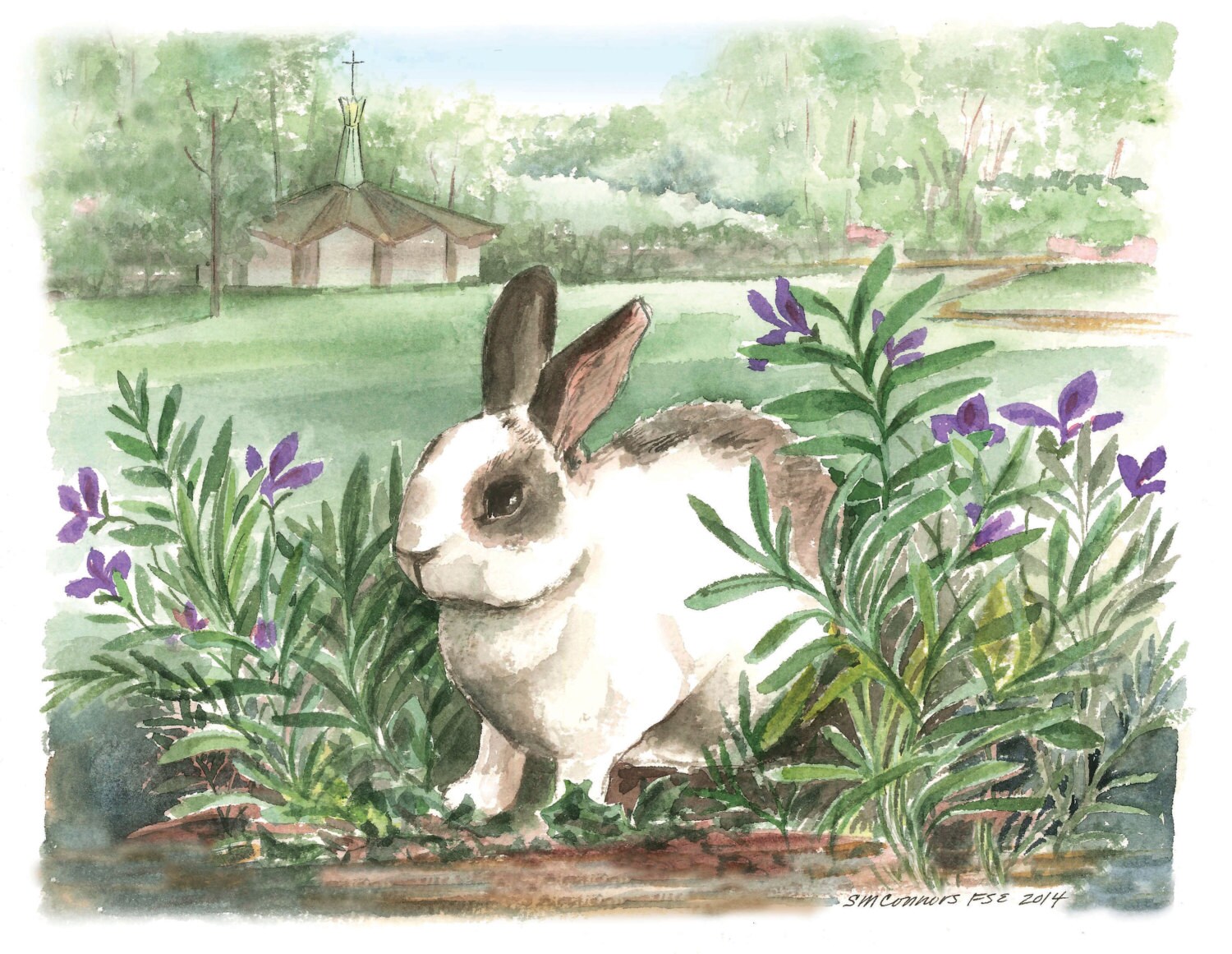 Rabbit Print From Original Watercolor, 8x10, Limited Edition, Signed ...