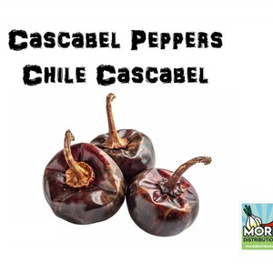 Dried Cascabel Chili Pepper (chile Cascabel) 4 Oz, 8 Oz, and 1 Lb!! - Etsy