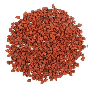 Whole Annatto Seeds, Semillas De Achiote, Bixa Orellana. 2 Lbs, 5 Lbs ...
