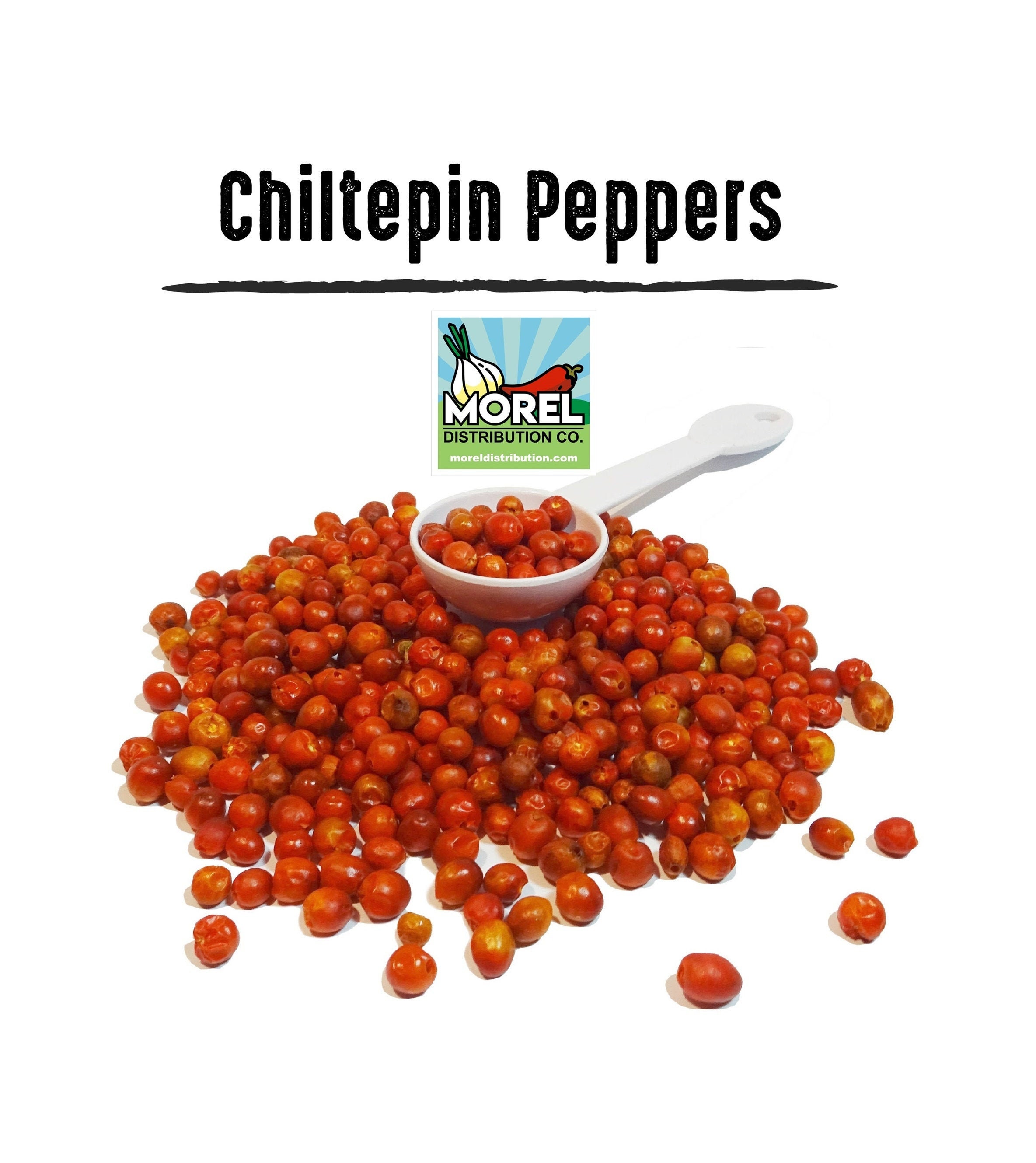 Chiltepin Pepper Seeds chilli Seeds Weights: 0.5 Oz 1 Oz 2 - Etsy Australia