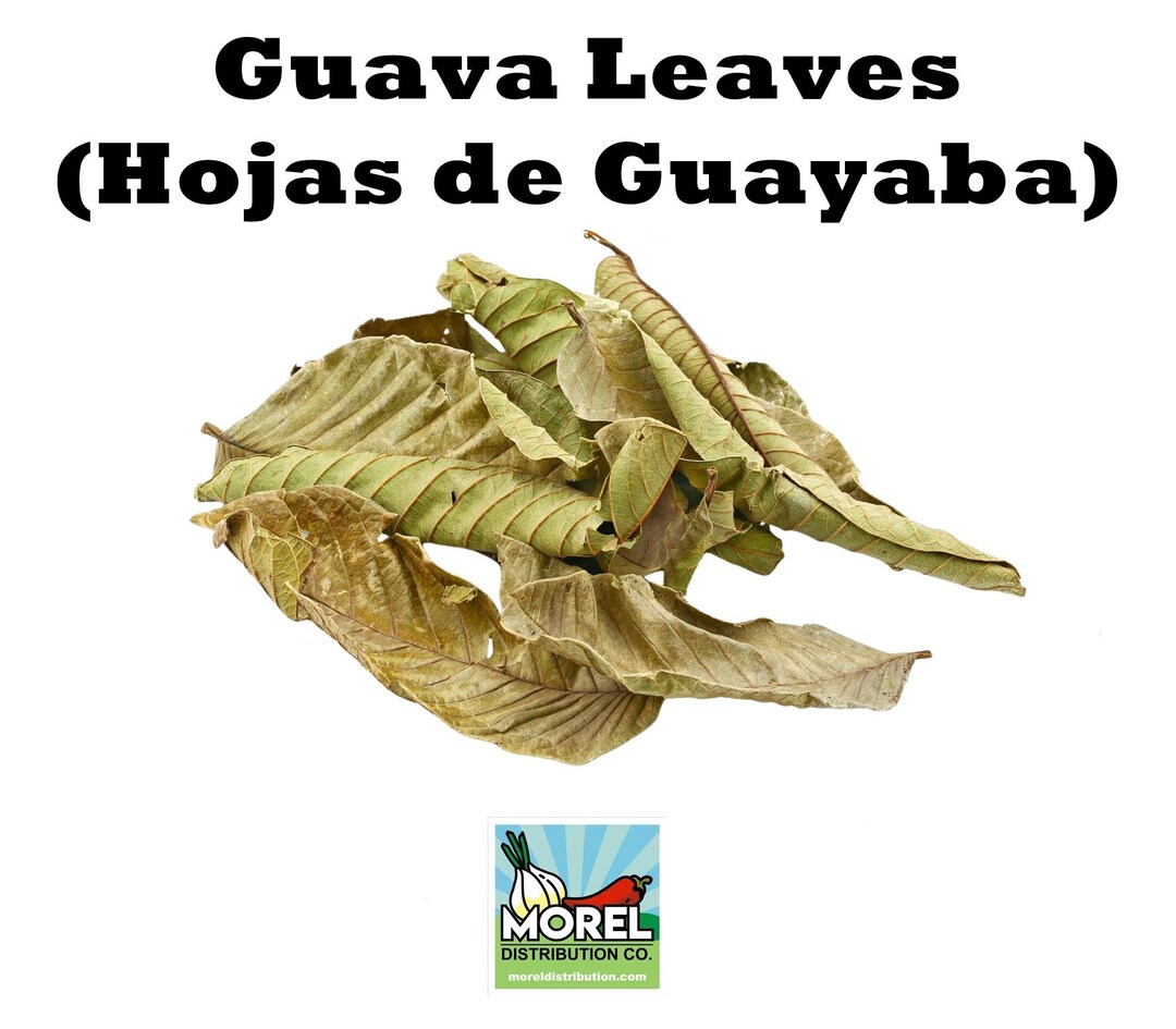 Dried Guava Leaves, Hojas De Guayaba, Loose Guava Leaf Tea 2 Oz and 4 ...