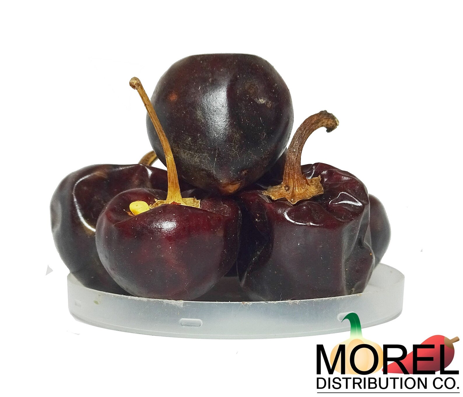 Wholesale Dried Cascabel Chili Pepper Chile Cascabel 1 Lb 2 | Etsy