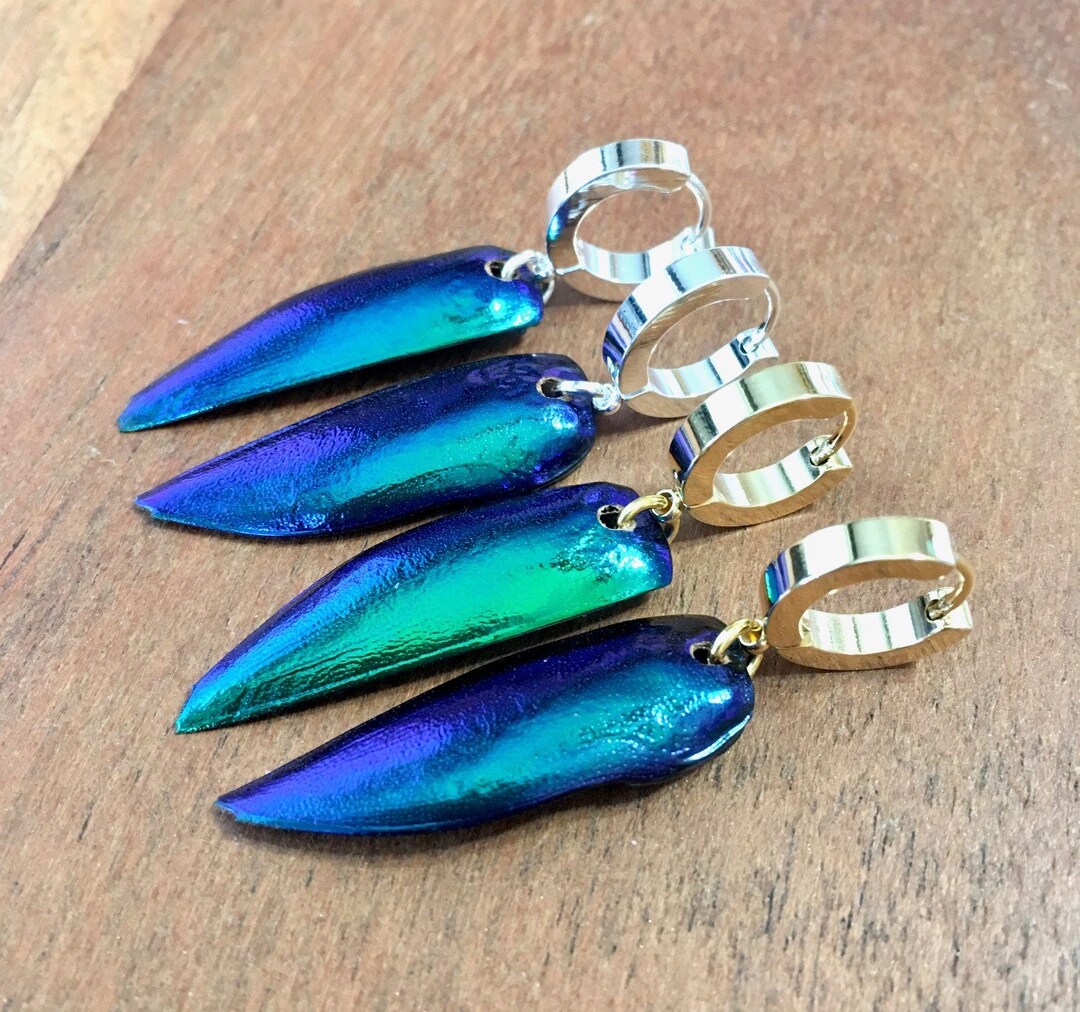 Real Elytra Beetle Wings on Huggie Hoop Earrings in Electric Teal ...
