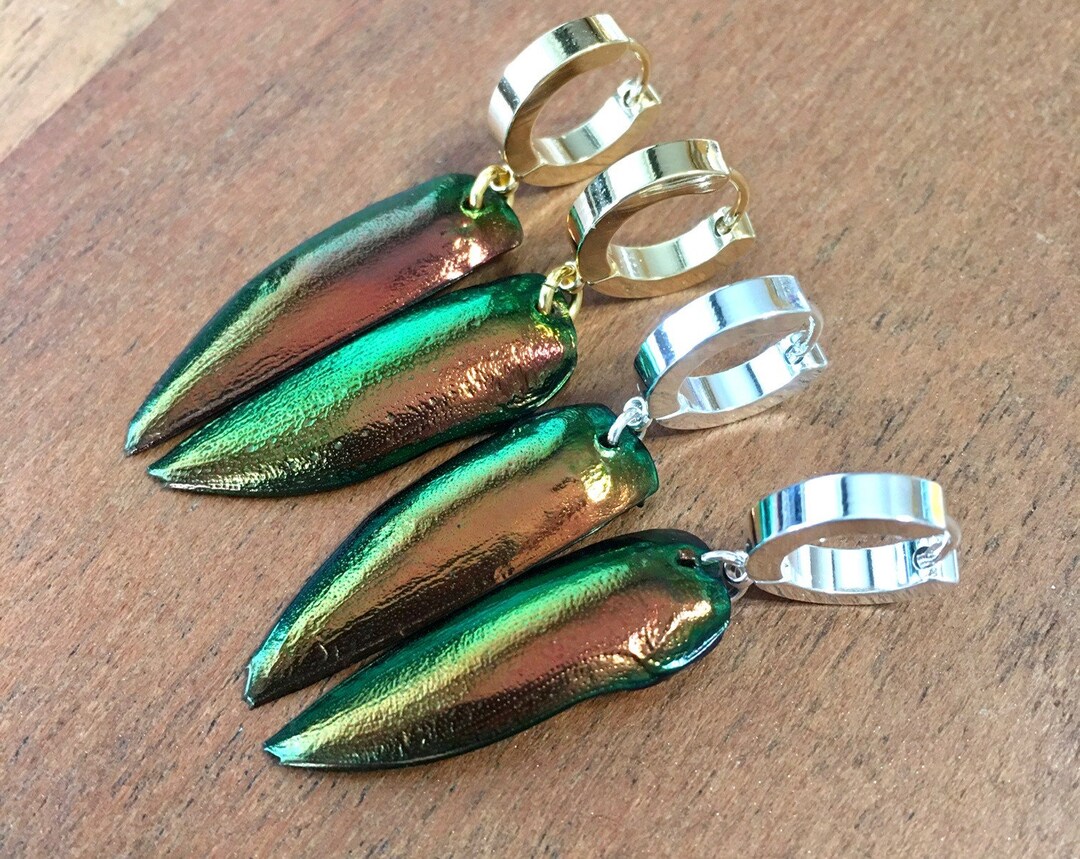 Real Elytra Beetle Wings on Huggie Hoop Earrings in Electric Orange ...