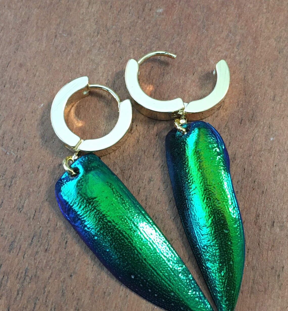 Real Elytra Beetle Wings on Huggie Hoop Earrings in Electric - Etsy