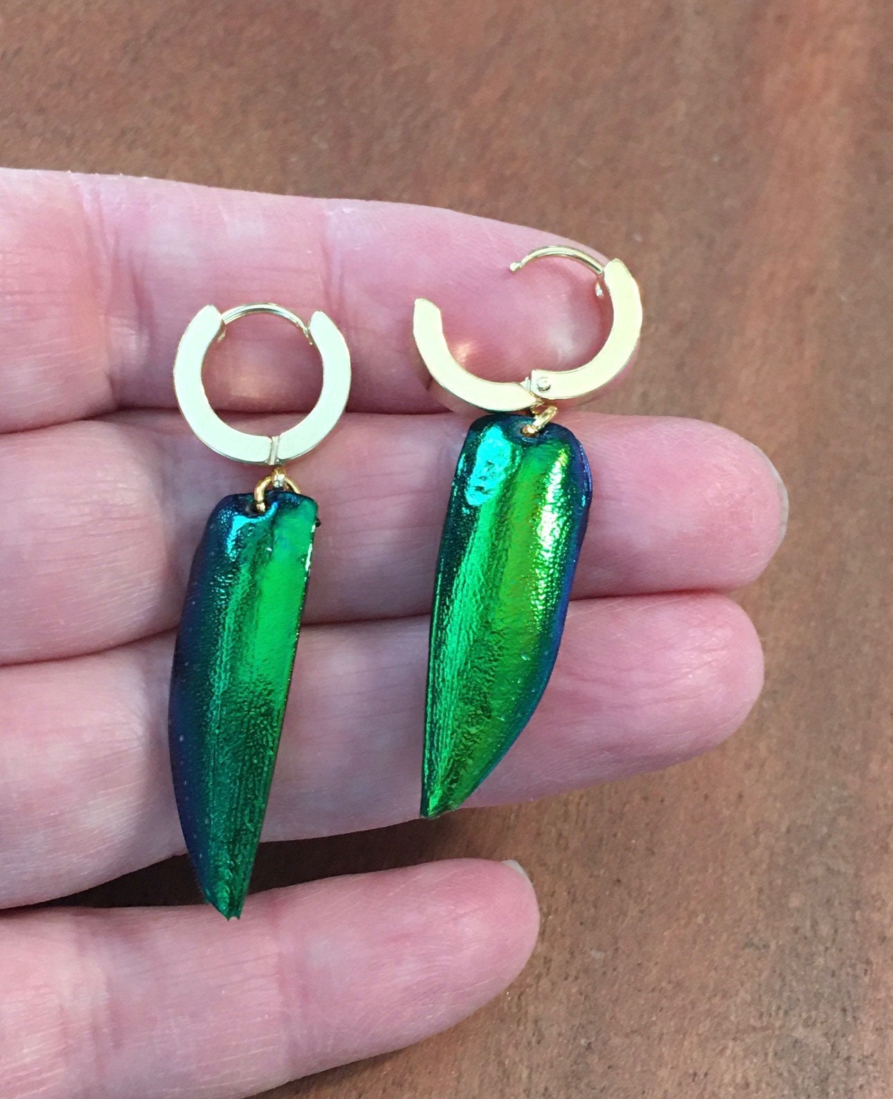 Real Elytra Beetle Wings on Huggie Hoop Earrings in Electric - Etsy