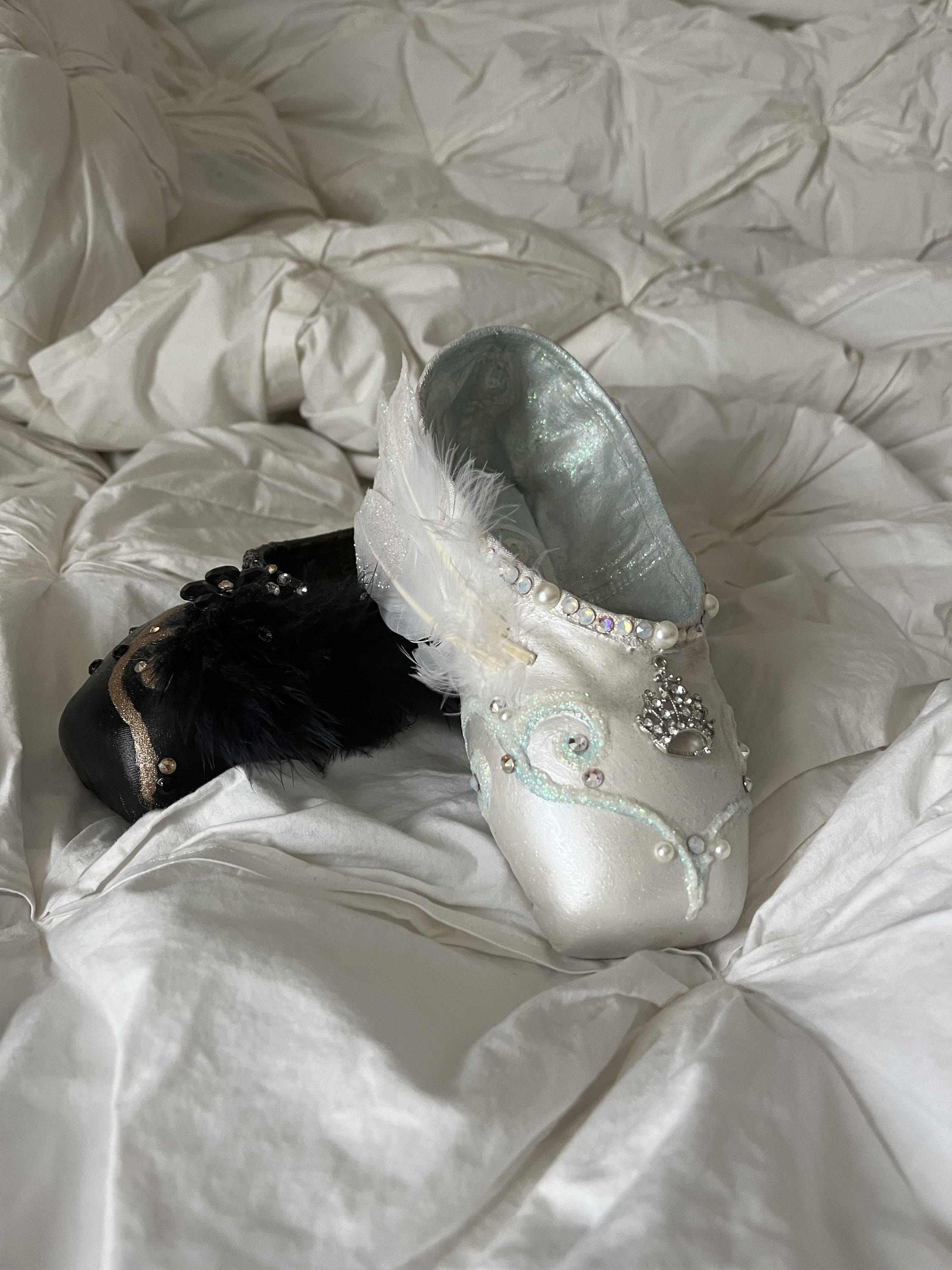 Decorative White Swan and Black Swan Pointe Shoes - Etsy